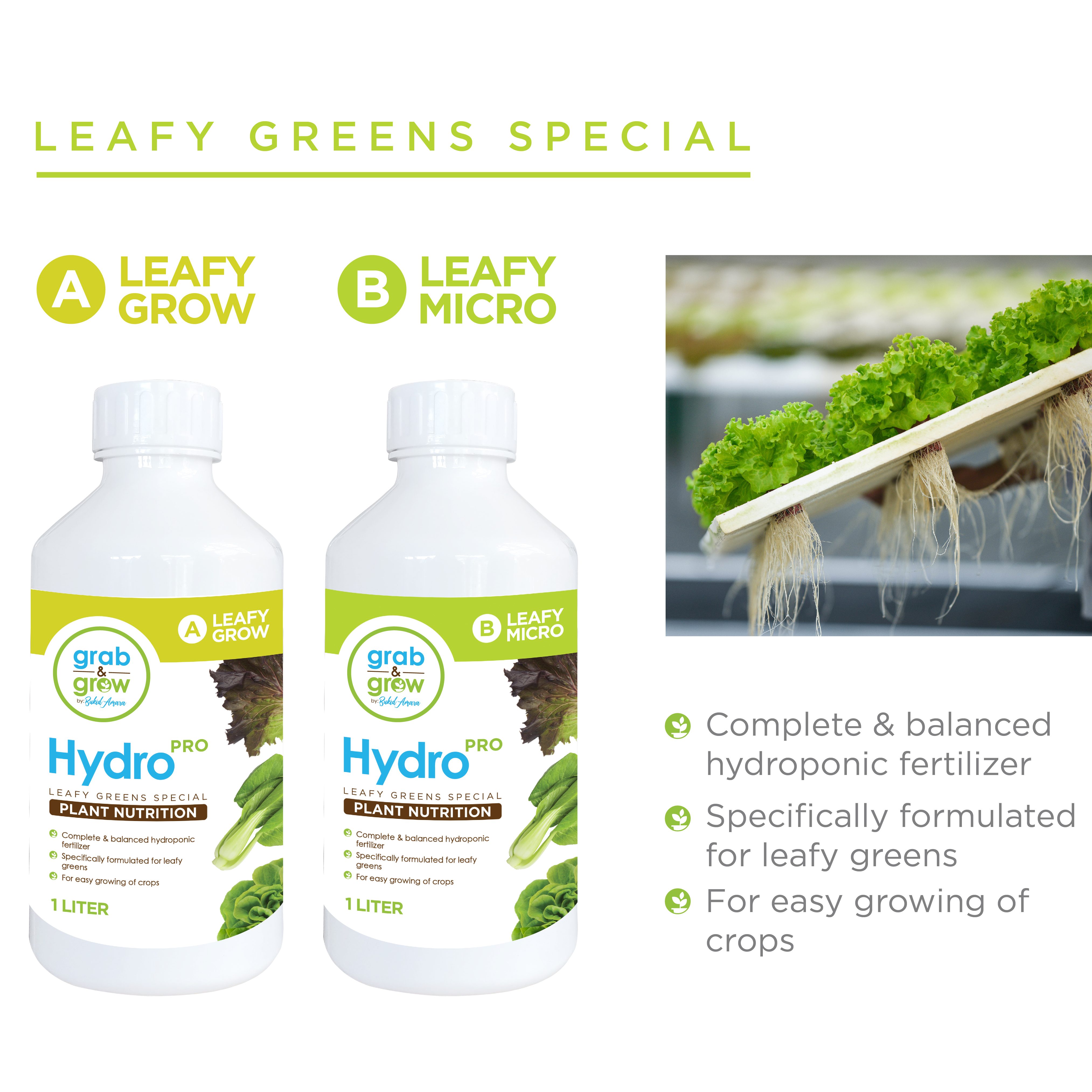 infographics-03-2 – Bukid Amara